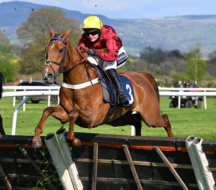 BHA Safety Regulations – Treehouse Sporting Colours