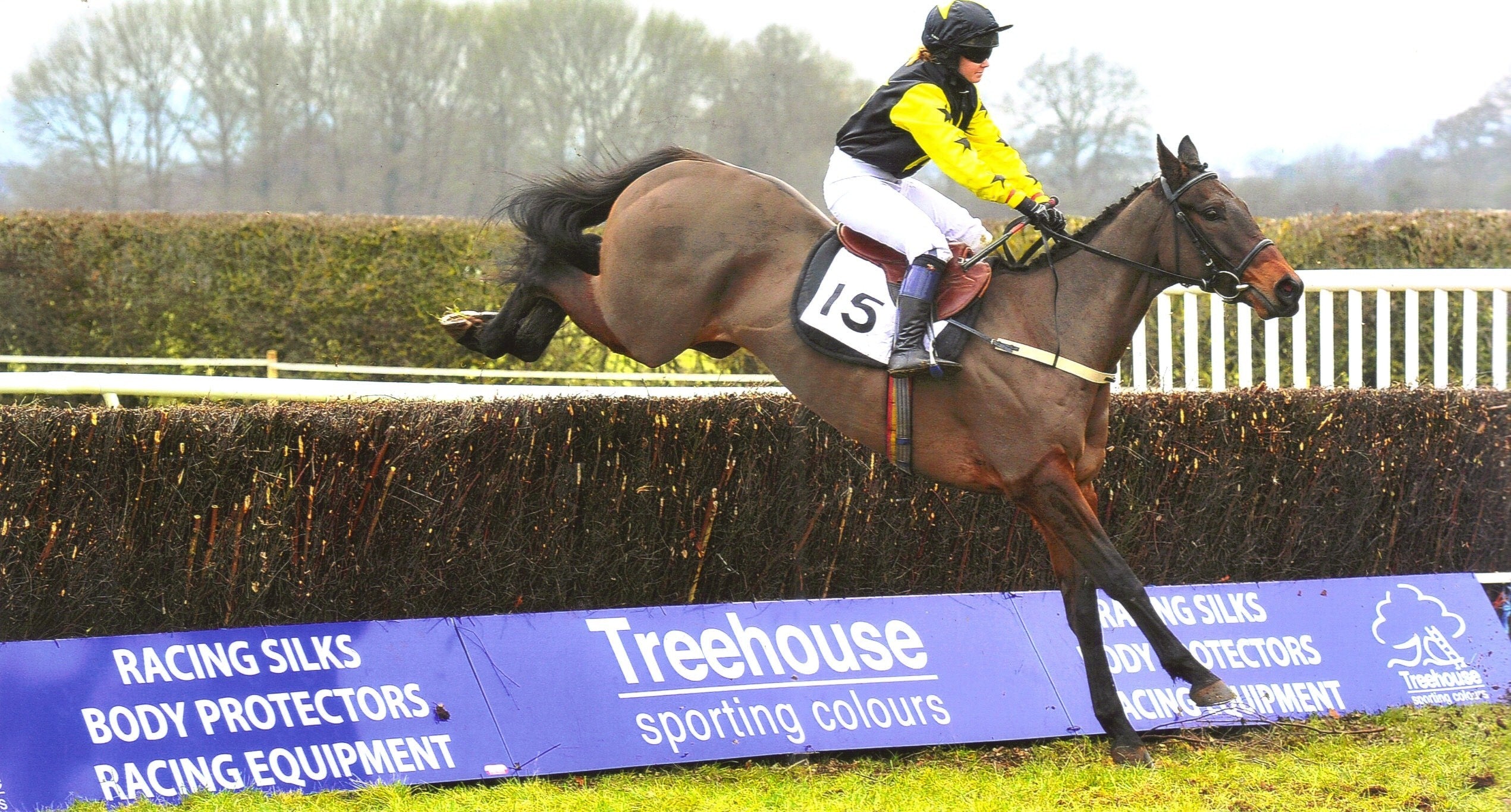 Commitment to Point to Pointing through Sponsorship! – Treehouse ...