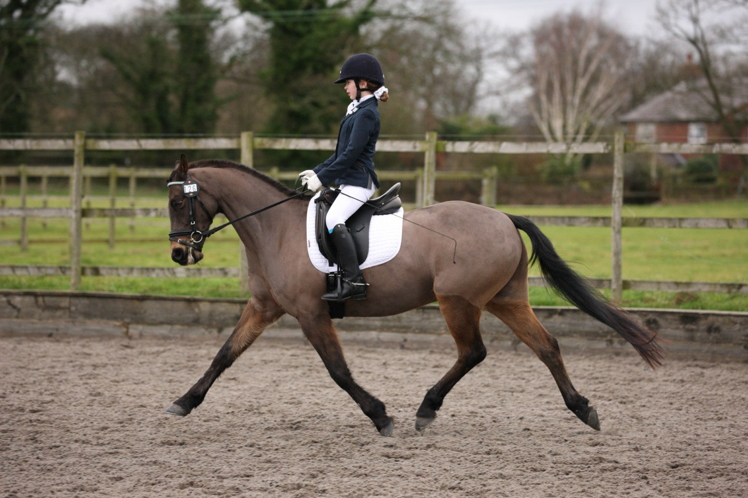 Treehouse's New Team Rider - Isabella Caldwell. – Treehouse Sporting ...