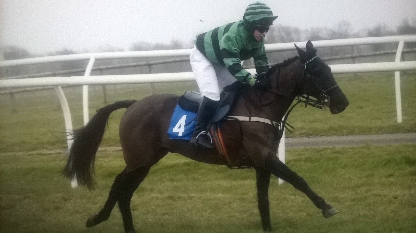 Pony Racing Finals Day at Bratton Down June 3rd sponsored by Treehouse ...